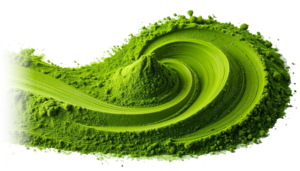 How to Store Matcha Powder: Best Ways to Keep It Fresh